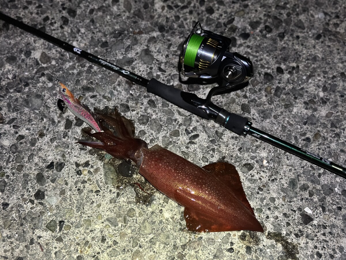 エメラルダスMXの5ピースのパックロッド「84m-5・N」をインプレ。 | たにせん