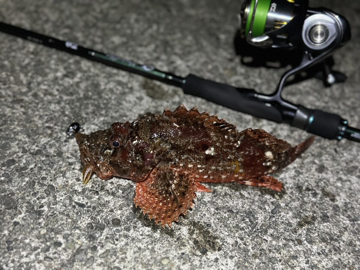 エメラルダスMXの5ピースのパックロッド「84m-5・N」をインプレ。 | たにせん