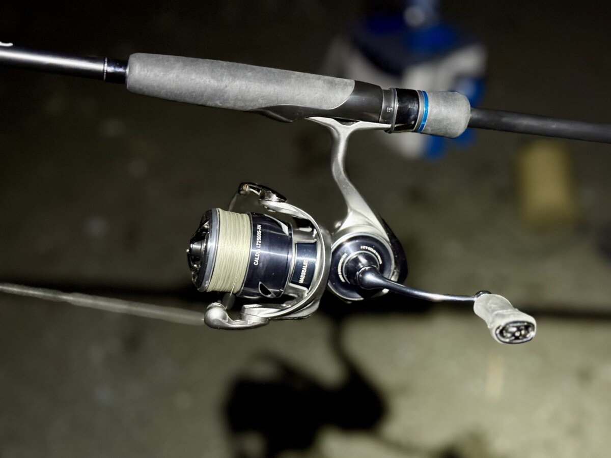 【実釣レビュー】25カルディアLT2500S-XHをインプレ。どんなに人におすすめ？ | たにせん